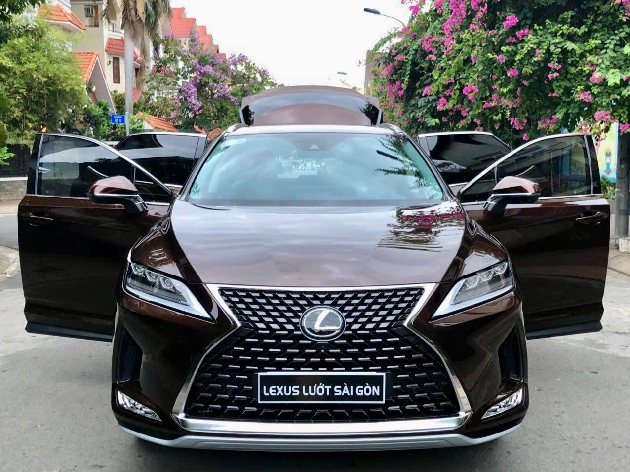 Lexus RX350 model 2020 Nâu